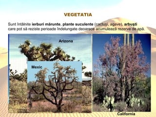 Deserturile tropicale | PPT
