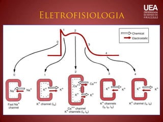 Desfibrilação e cardioversão | PPTX