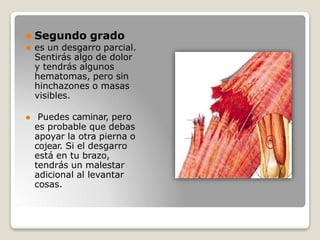 DESGARRO MUSCULAR (1).pptx