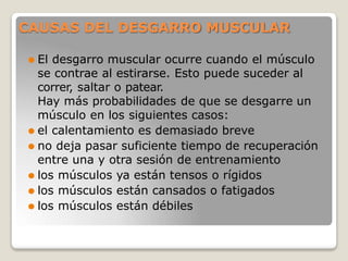 DESGARRO MUSCULAR (1).pptx