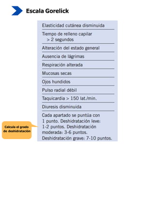 DESHIDRATACION.docx