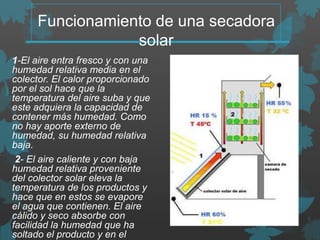Deshidratador solar, modelos y manual de construccion | PPTX