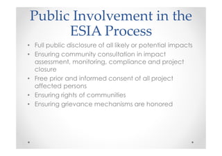 Environmental and Social Obligations of Investment Companies Desia ...