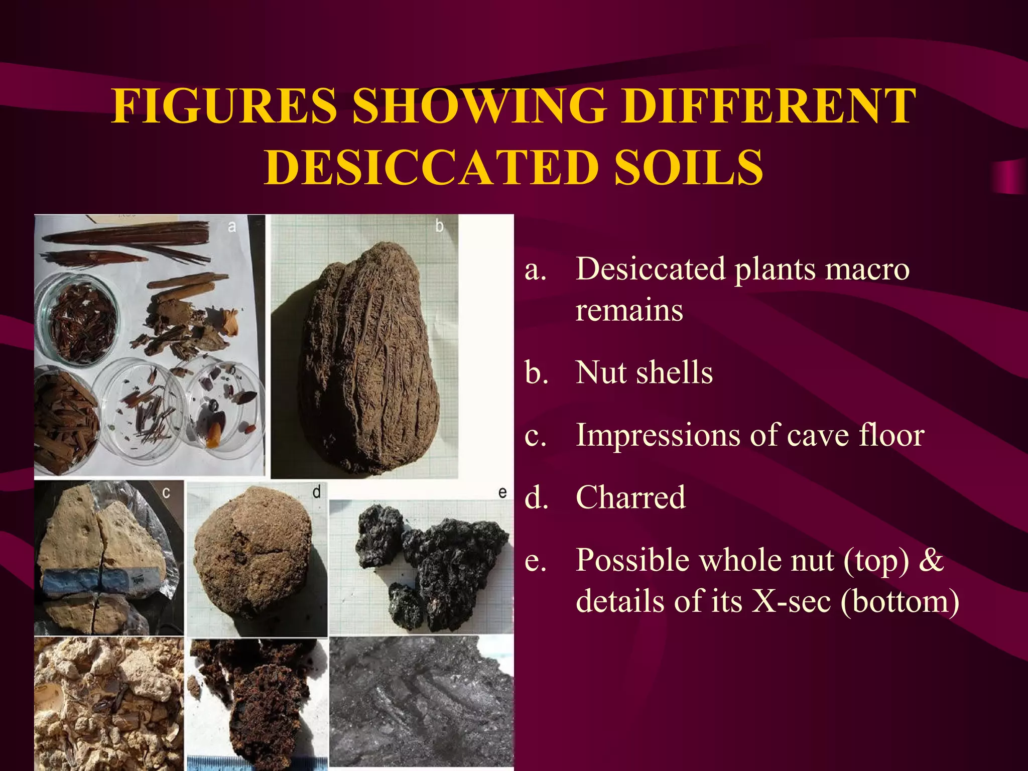 Desiccated soils | PPT