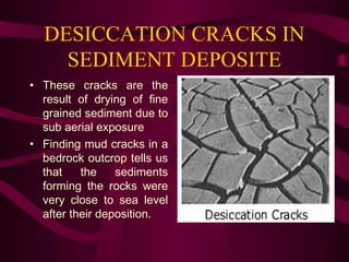Desiccated soils | PPT