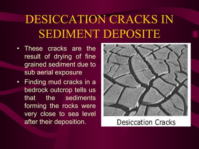 Desiccated soils | PPT | Geology | Science