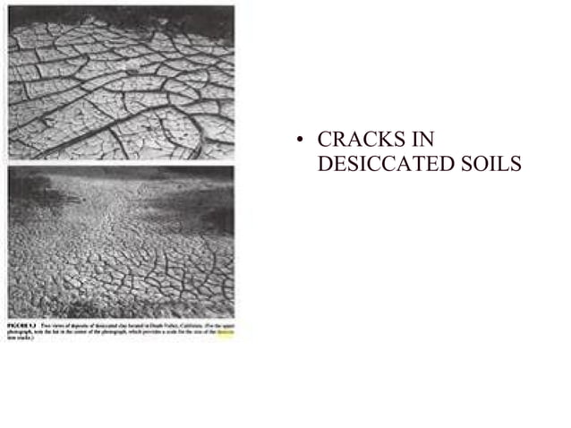 Desiccated soils | PPT | Geology | Science