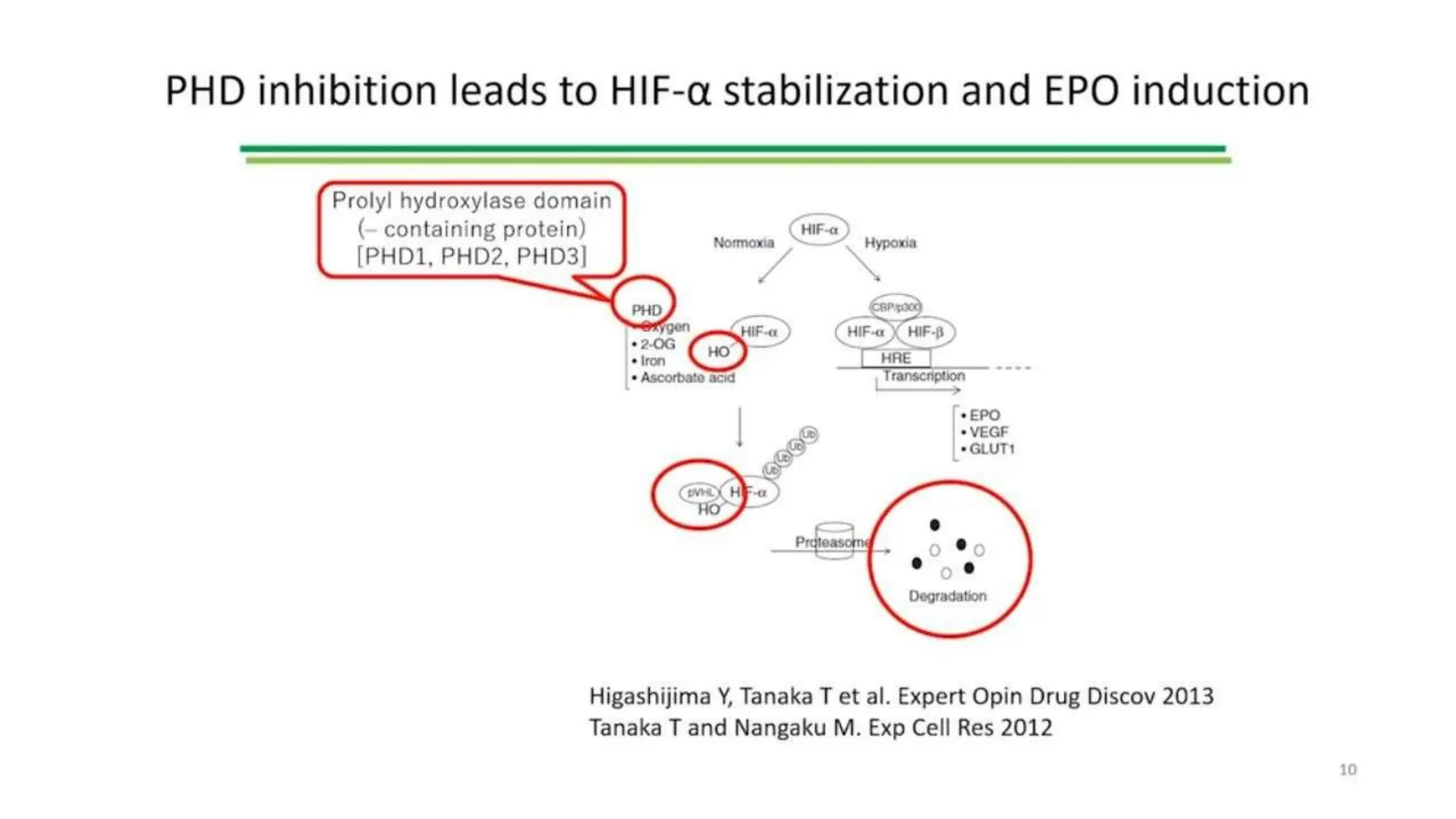 Desidustat the rise of a new dawn - role in treatment of ckd anemia | PPTX