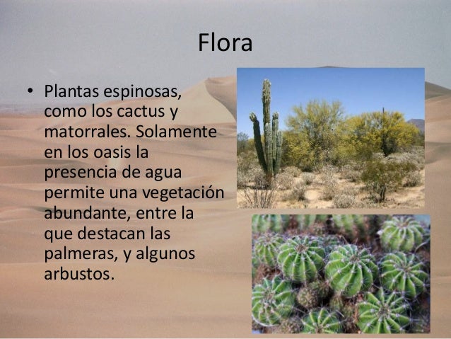 Es Contagiosa La Flora Cocoide - abstractor