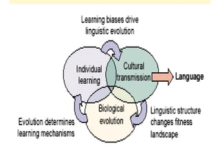 Design1a_Features_of_Language.pptx