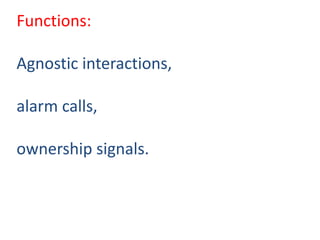 Design1a_Features_of_Language.pptx