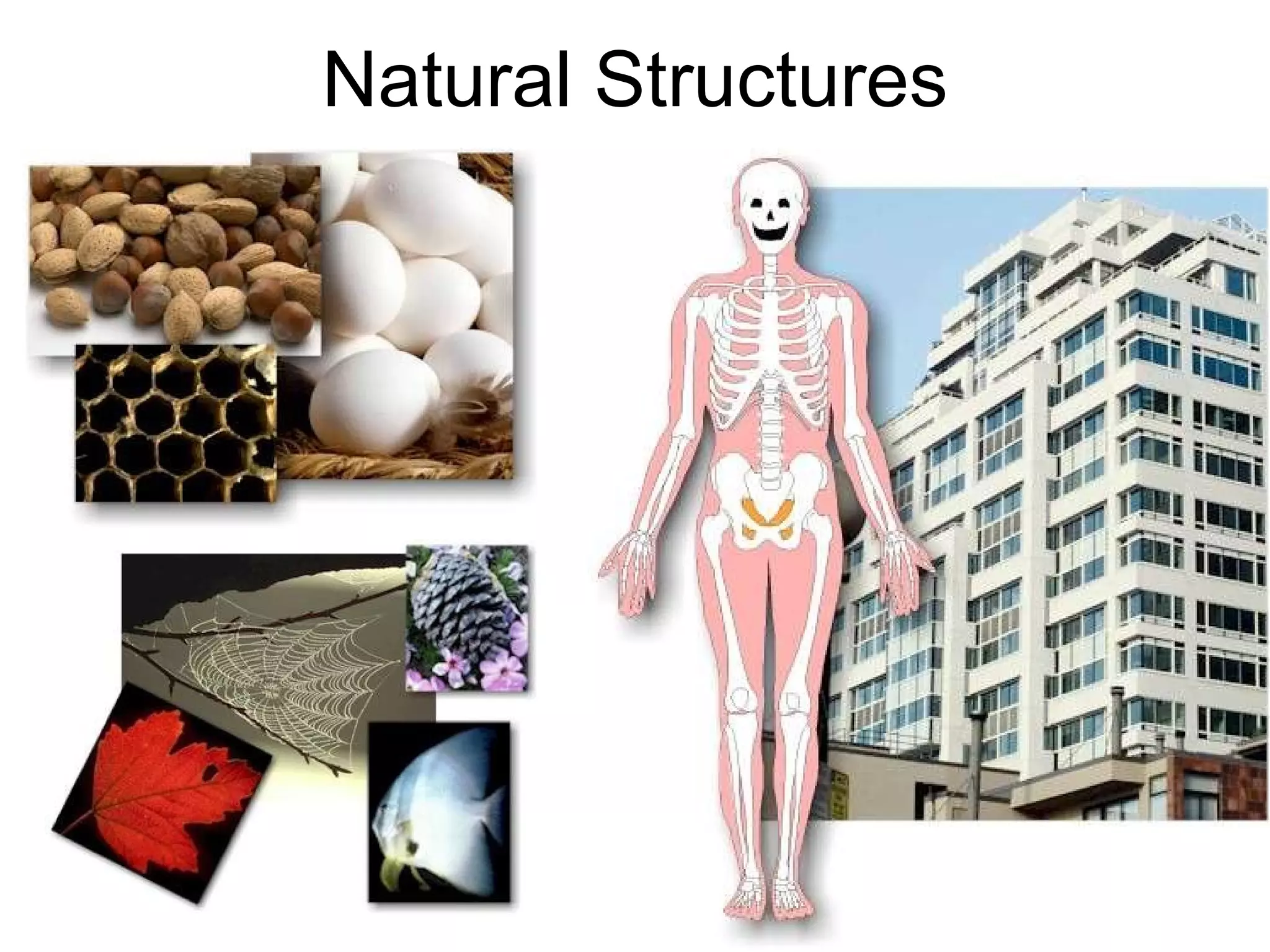 Design 3 2011 - Design Lecture Structures | PPT