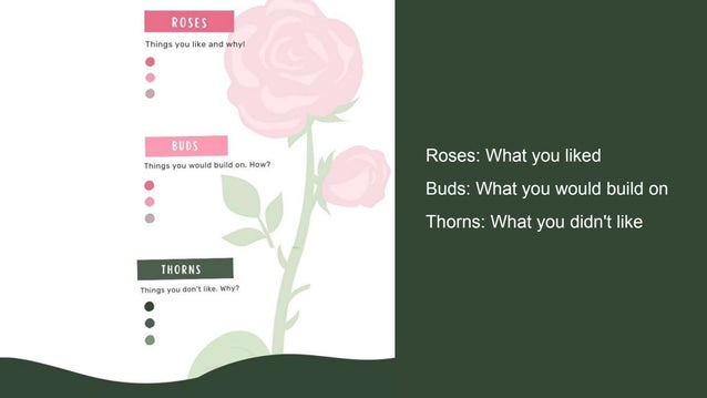 DesignACE - Retrospective Rose, Bud, Thorn.pptx