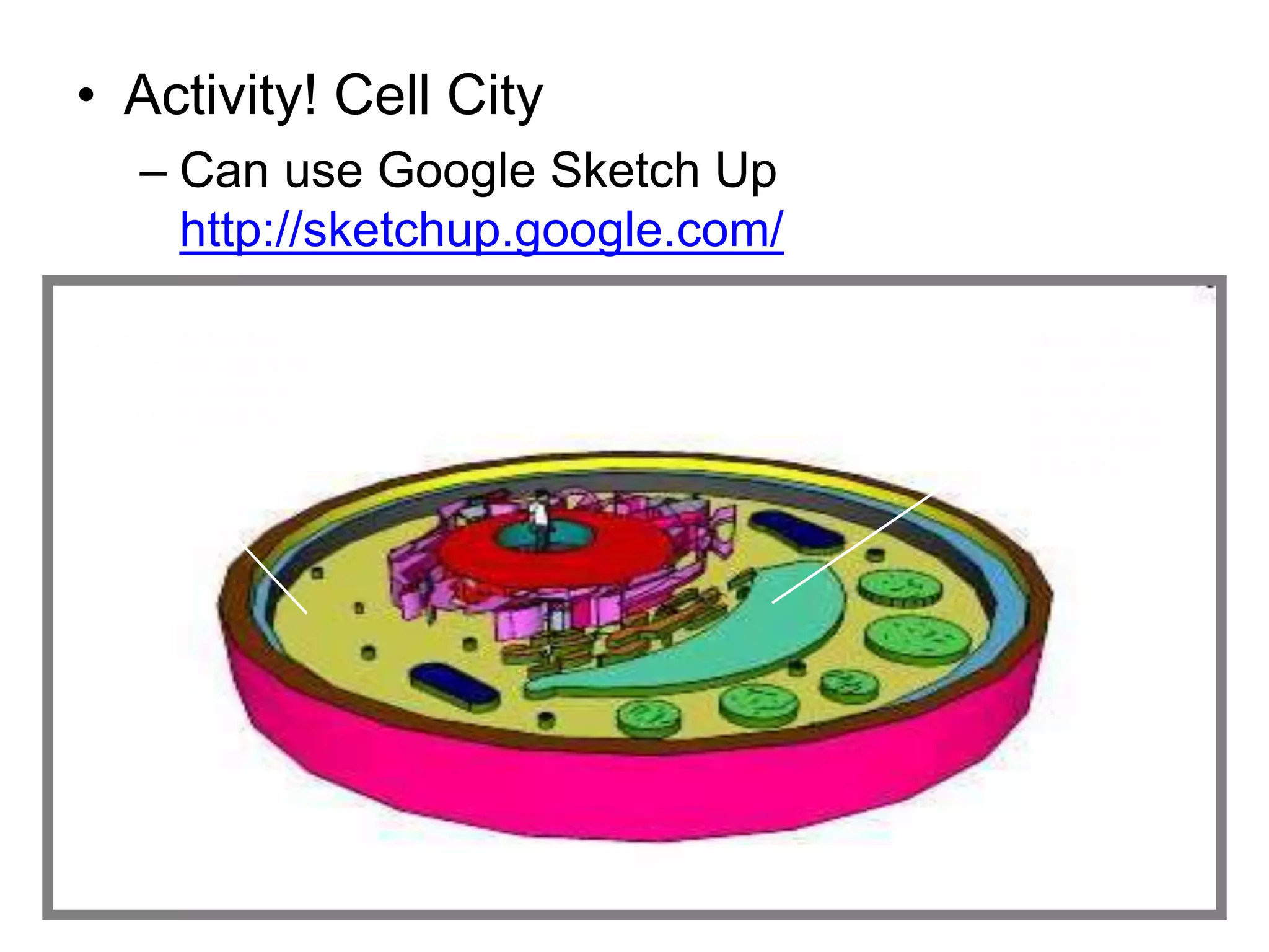 Design a cell city | PPTX