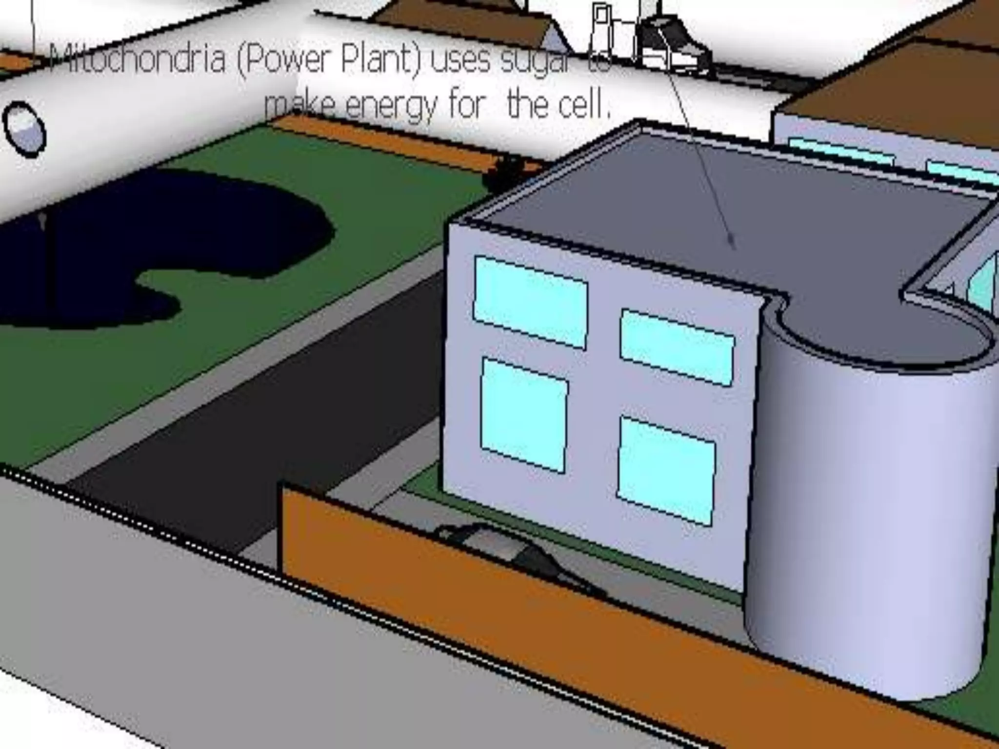 Design a cell city | PPTX