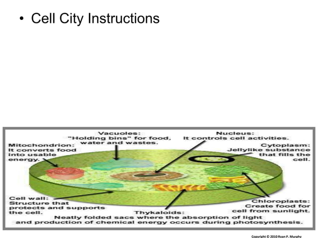Design a cell city | PPTX