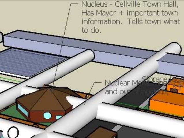 Design a cell city | PPTX