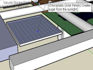 Design a cell city | PPTX