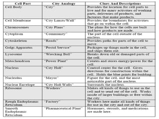 Plant Cell City Analogy