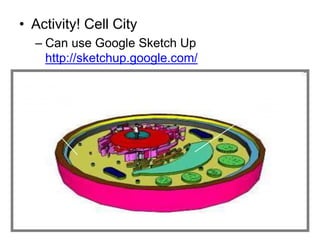 Animal Cell City Project