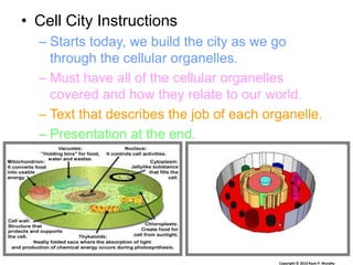 Cell City Diagram