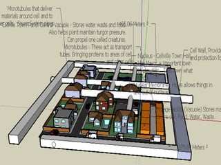 Cell City Project Model