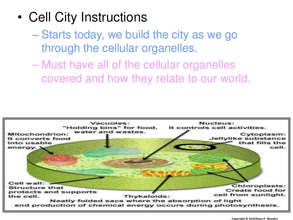 Design a cell city