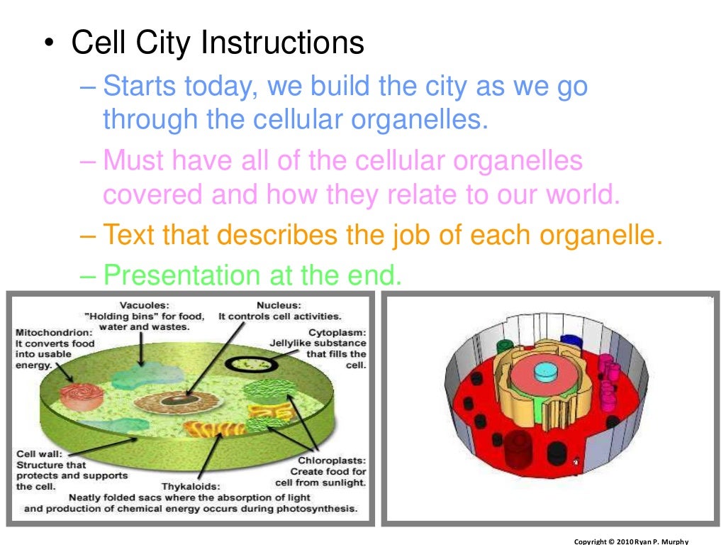 Design a cell city
