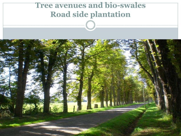 Design alternatives -landscape integration (1).ppsx