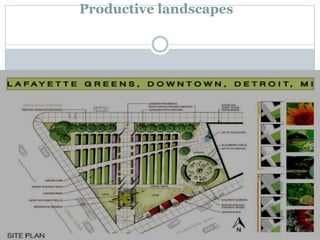 Design alternatives -landscape integration (1).ppsx