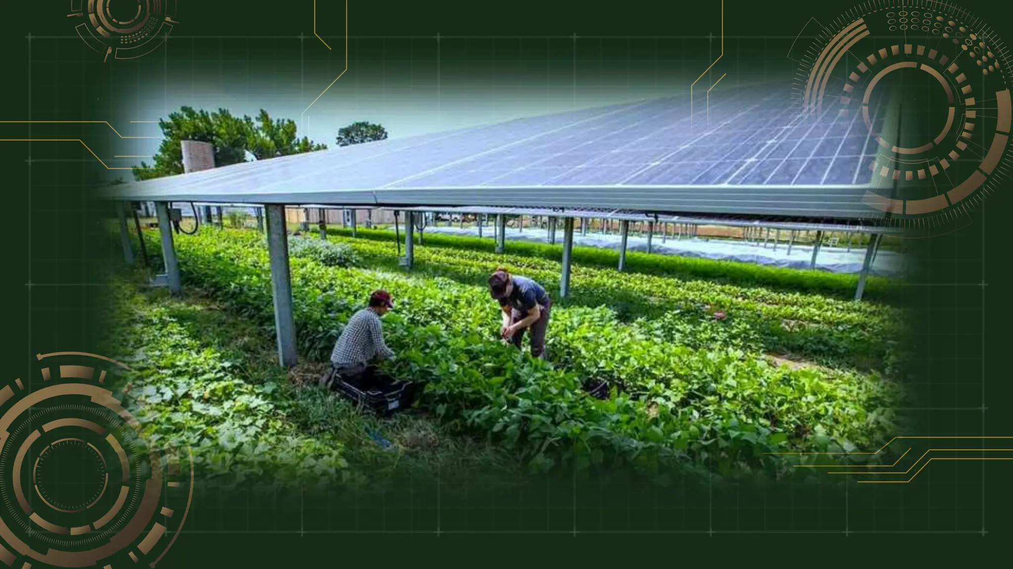 DESIGN AND FABRICATION OF SOLAR POWERED WATER PUMPING SYSTEM WITH AUTO ...