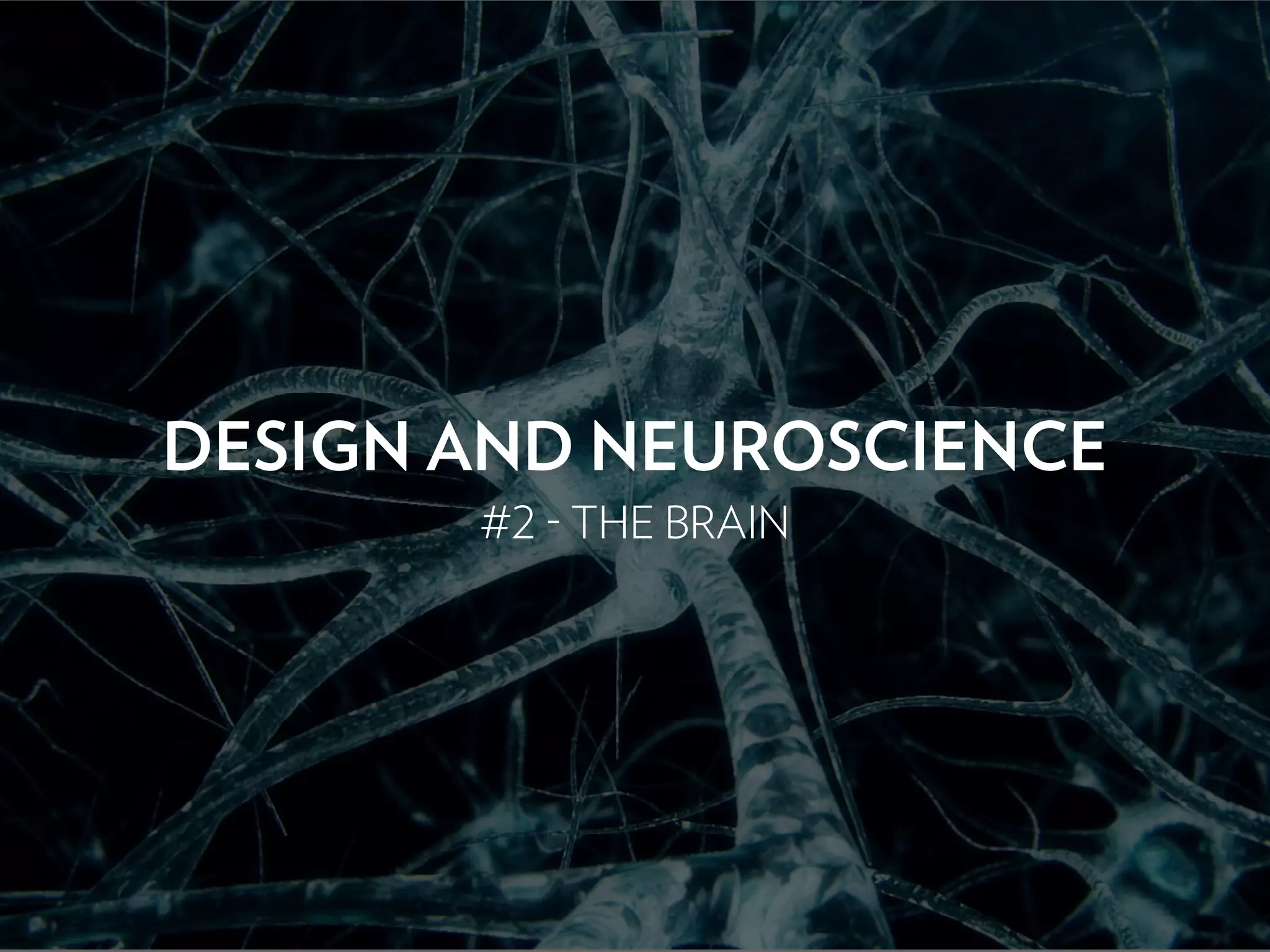 Design & Neuroscience - The Brain | PDF
