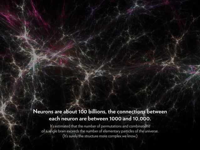 Design & Neuroscience - The Brain | PPT