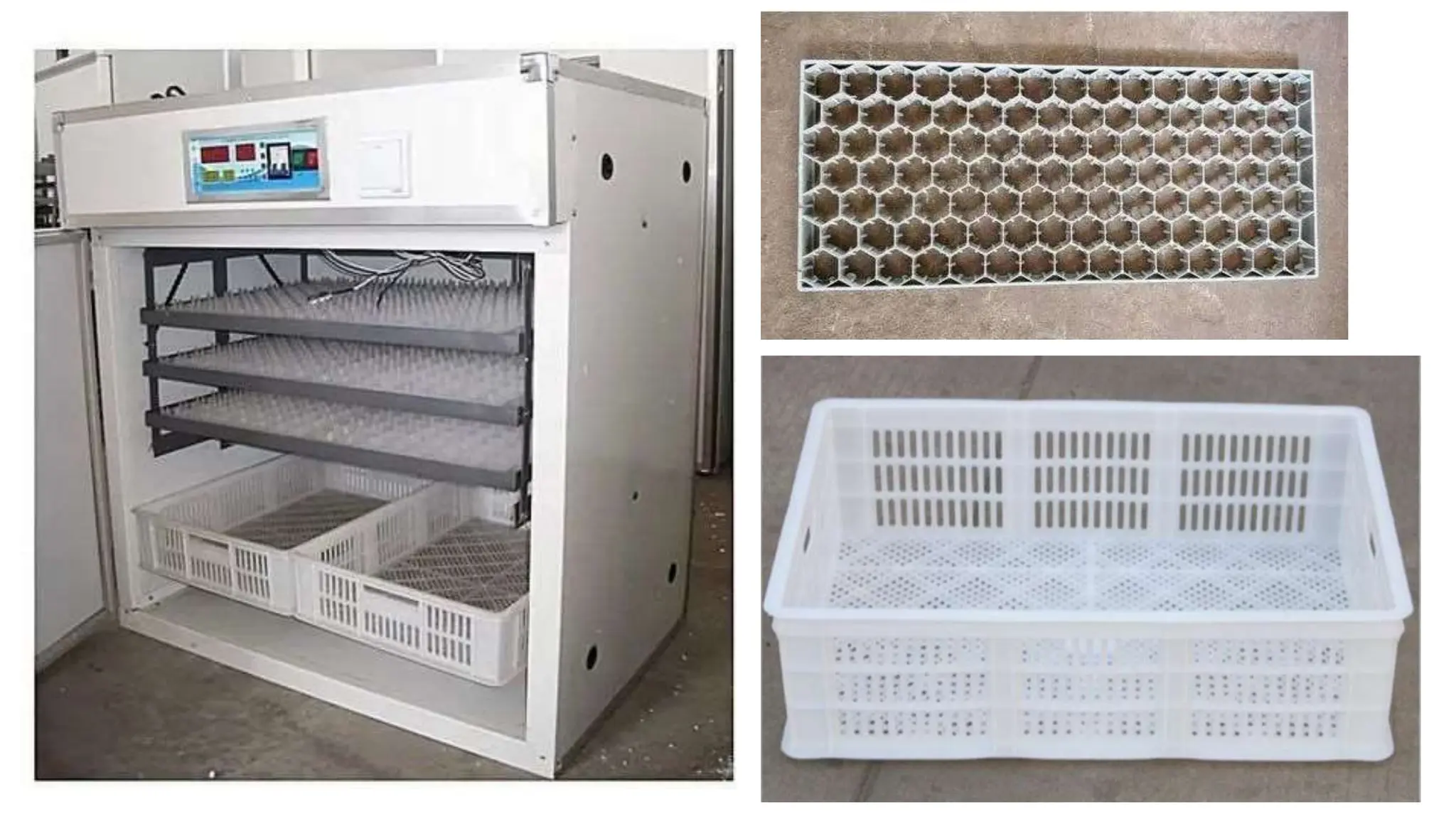 design and operations of Hatchery.pptx