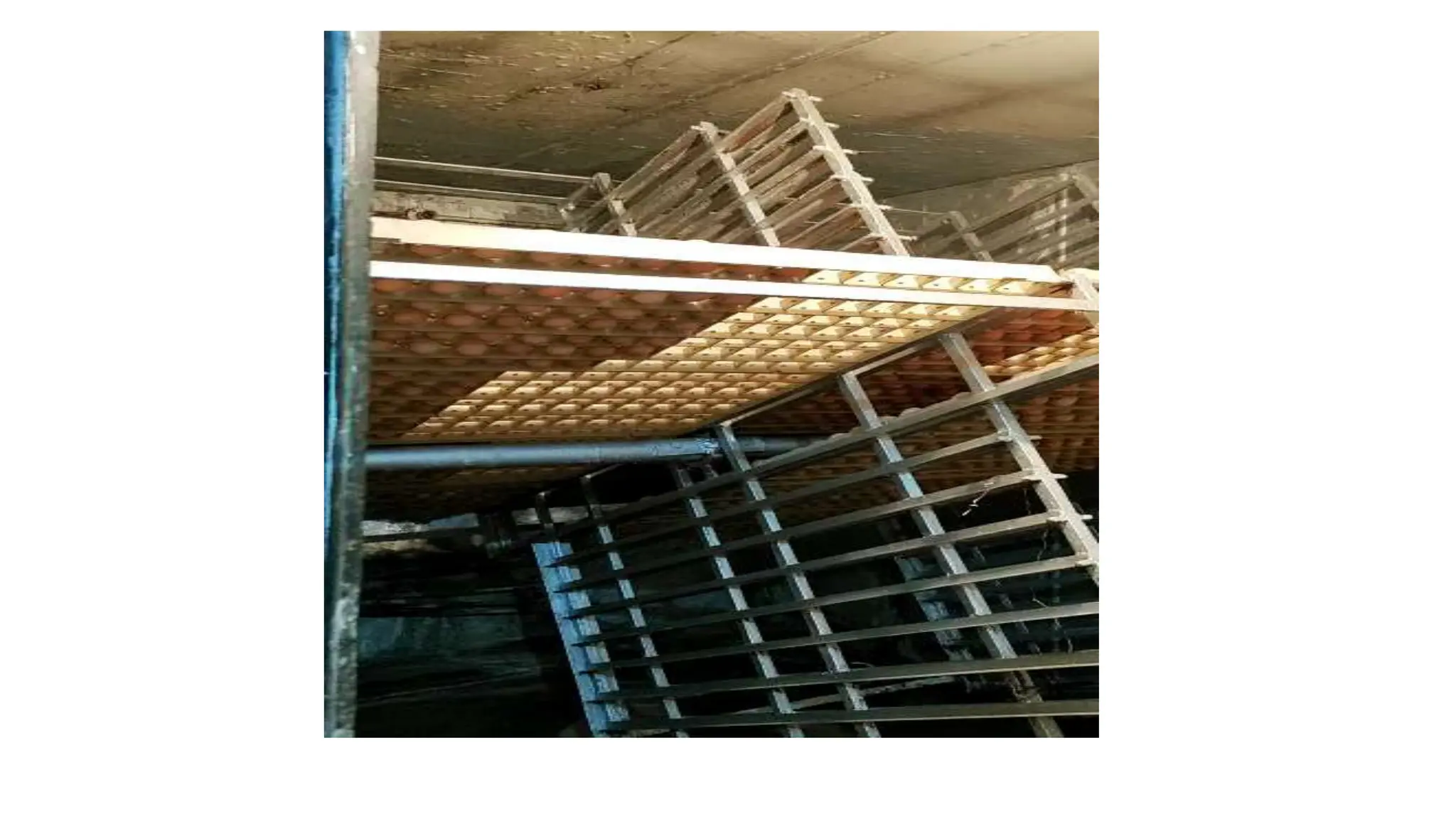 design and operations of Hatchery.pptx