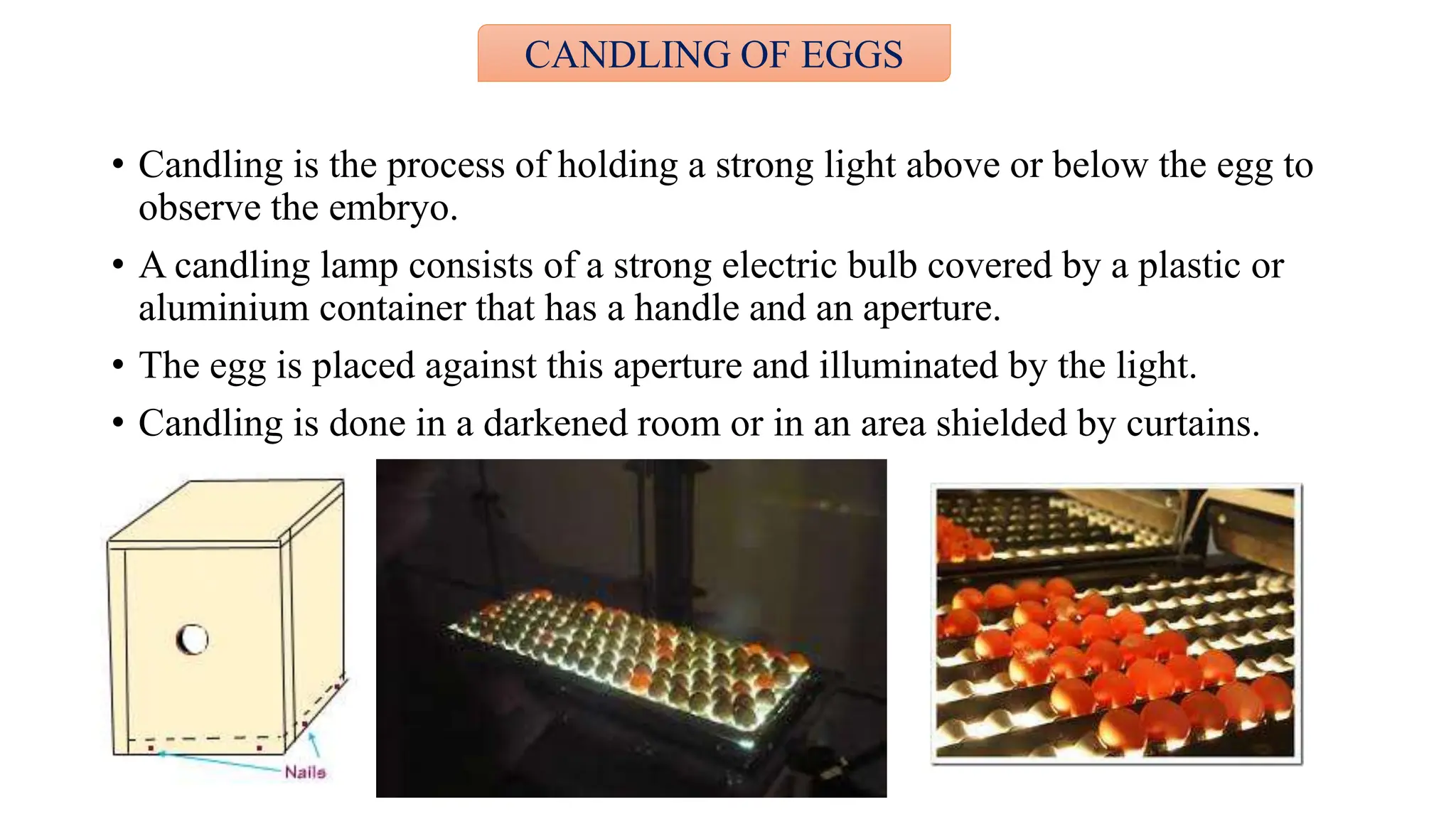 design and operations of Hatchery.pptx