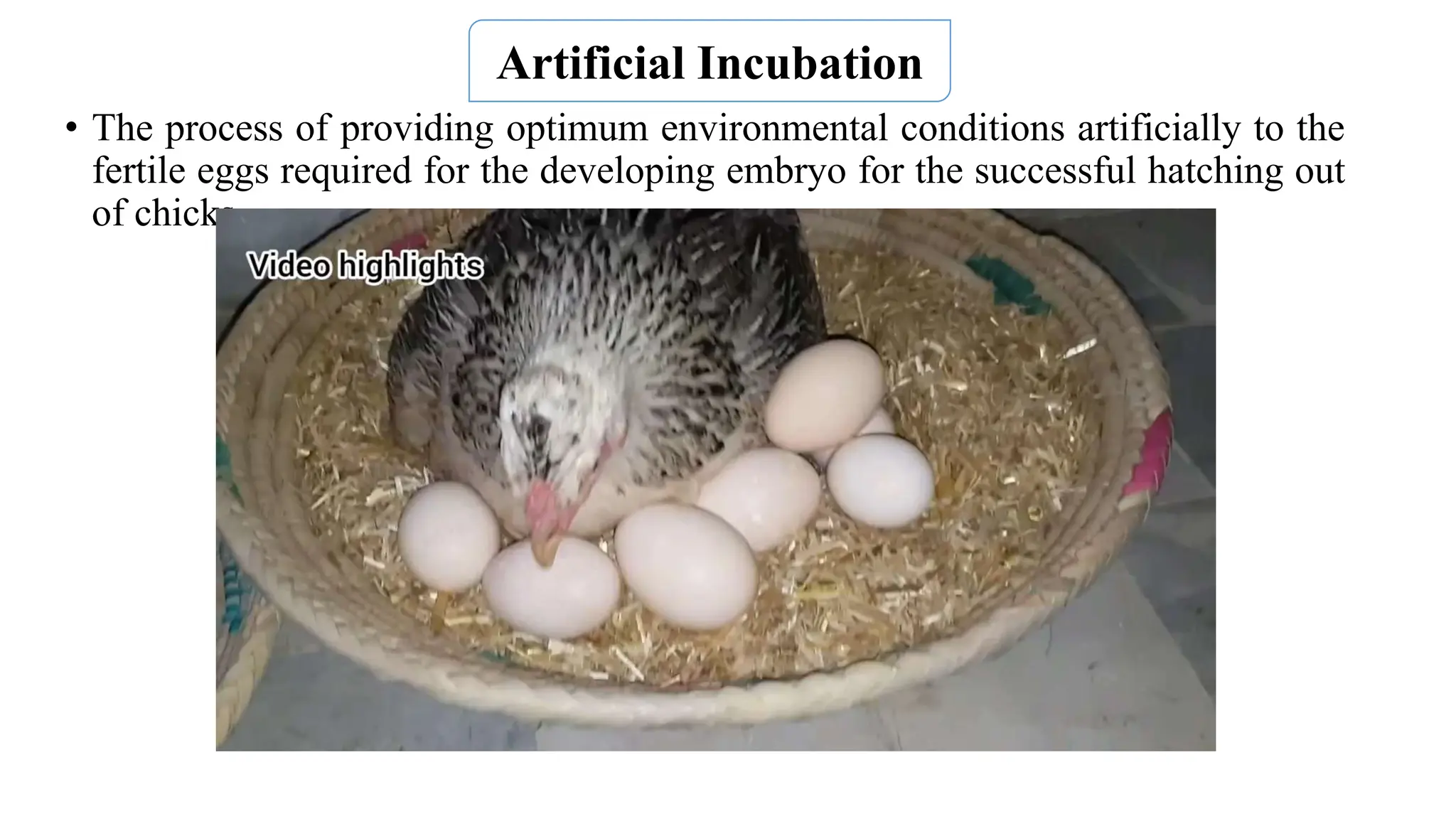 design and operations of Hatchery.pptx