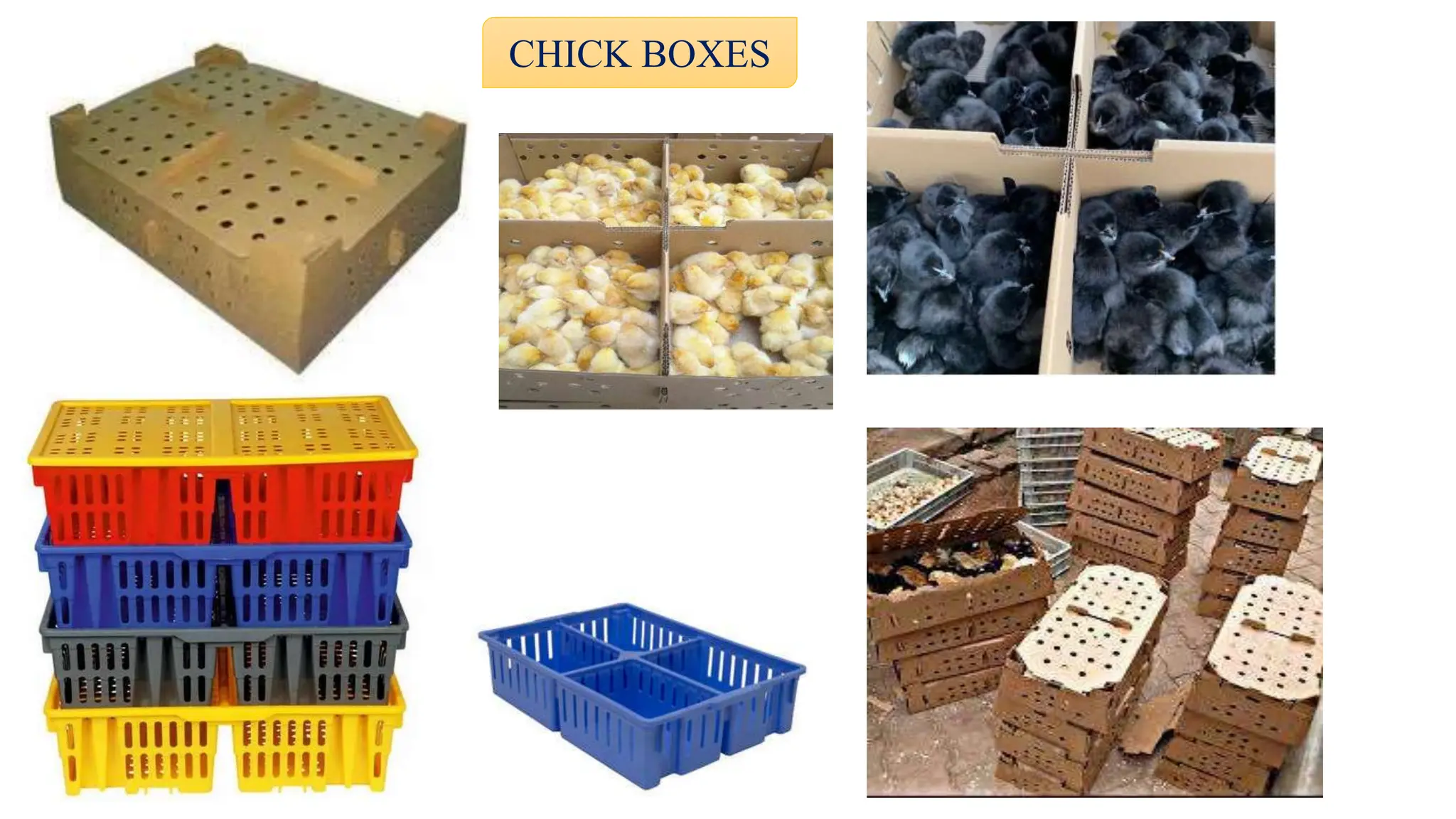 design and operations of Hatchery.pptx