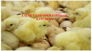 design and operations of Hatchery.pptx