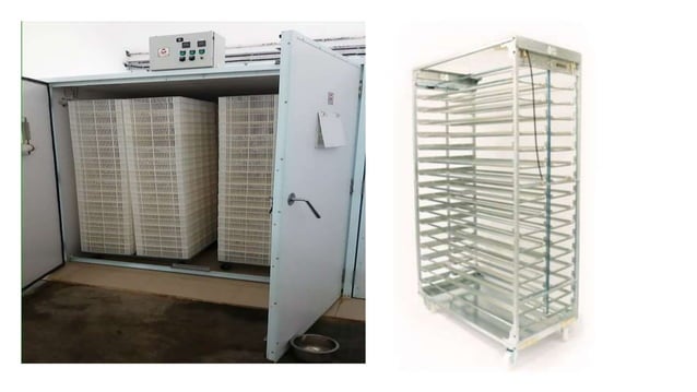 design and operations of Hatchery.pptx