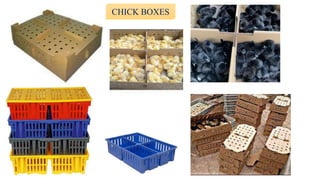 design and operations of Hatchery.pptx