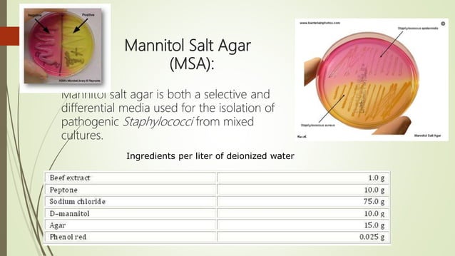 Design and preparation of media for fermentation | PPTX