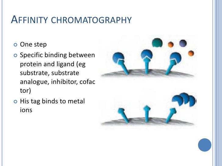 Design And Purification Of Proteins