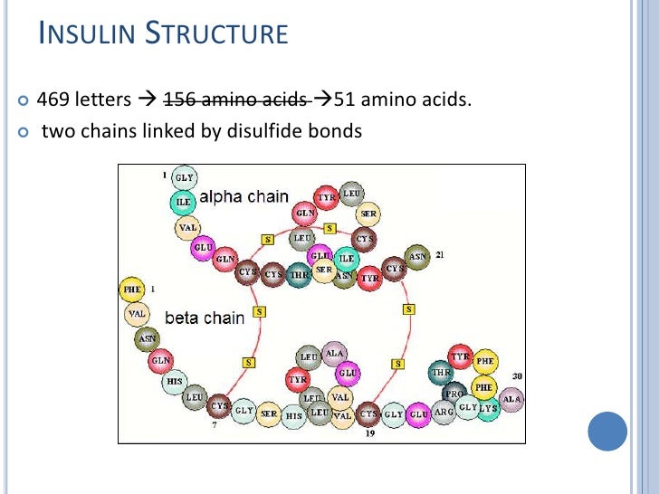 Tertiary Structure Of Insulin