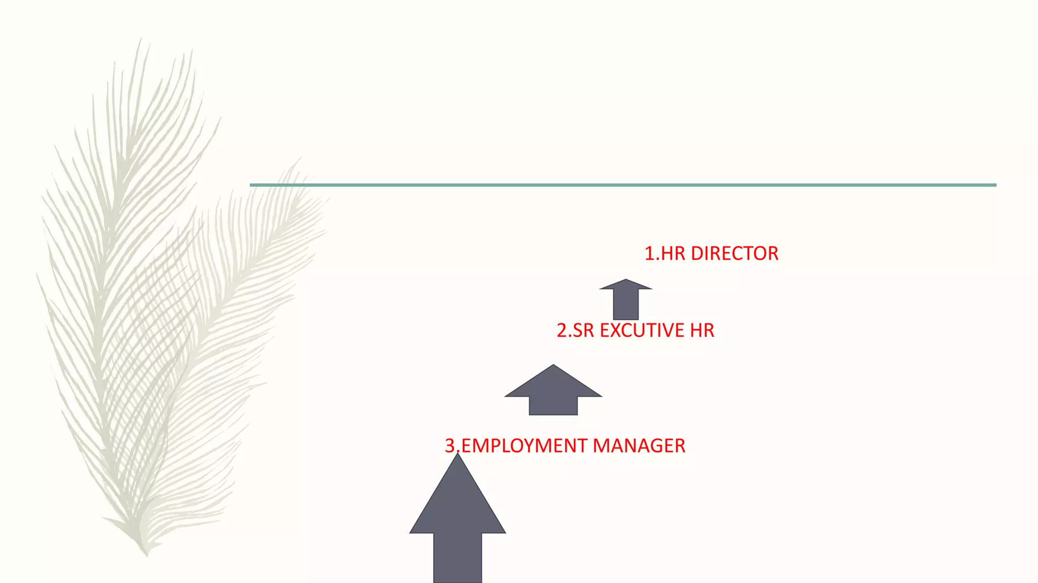 HR Designation | PPTX