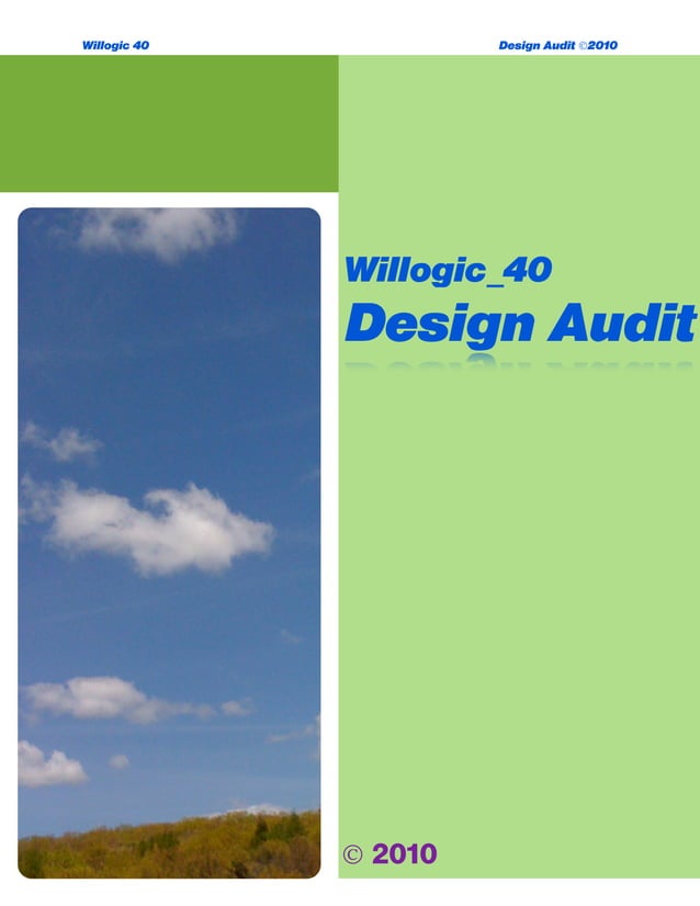 Design audit | PDF