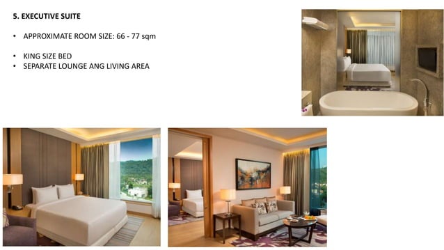 RADISSON BLU GUWAHATI | PPTX | Hotels and Motels | Travel Type