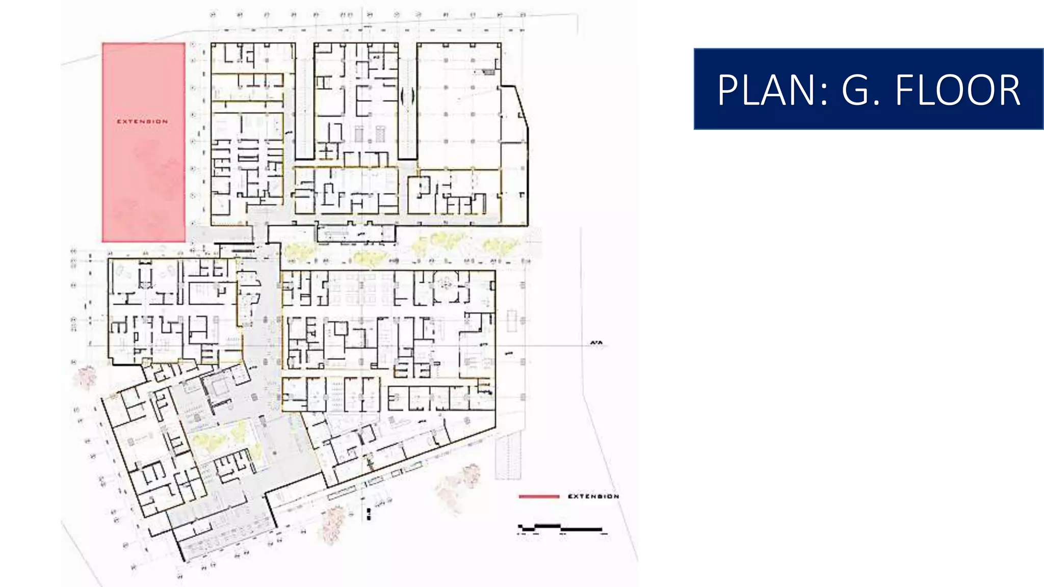 Hospital Design Case Study | PPTX