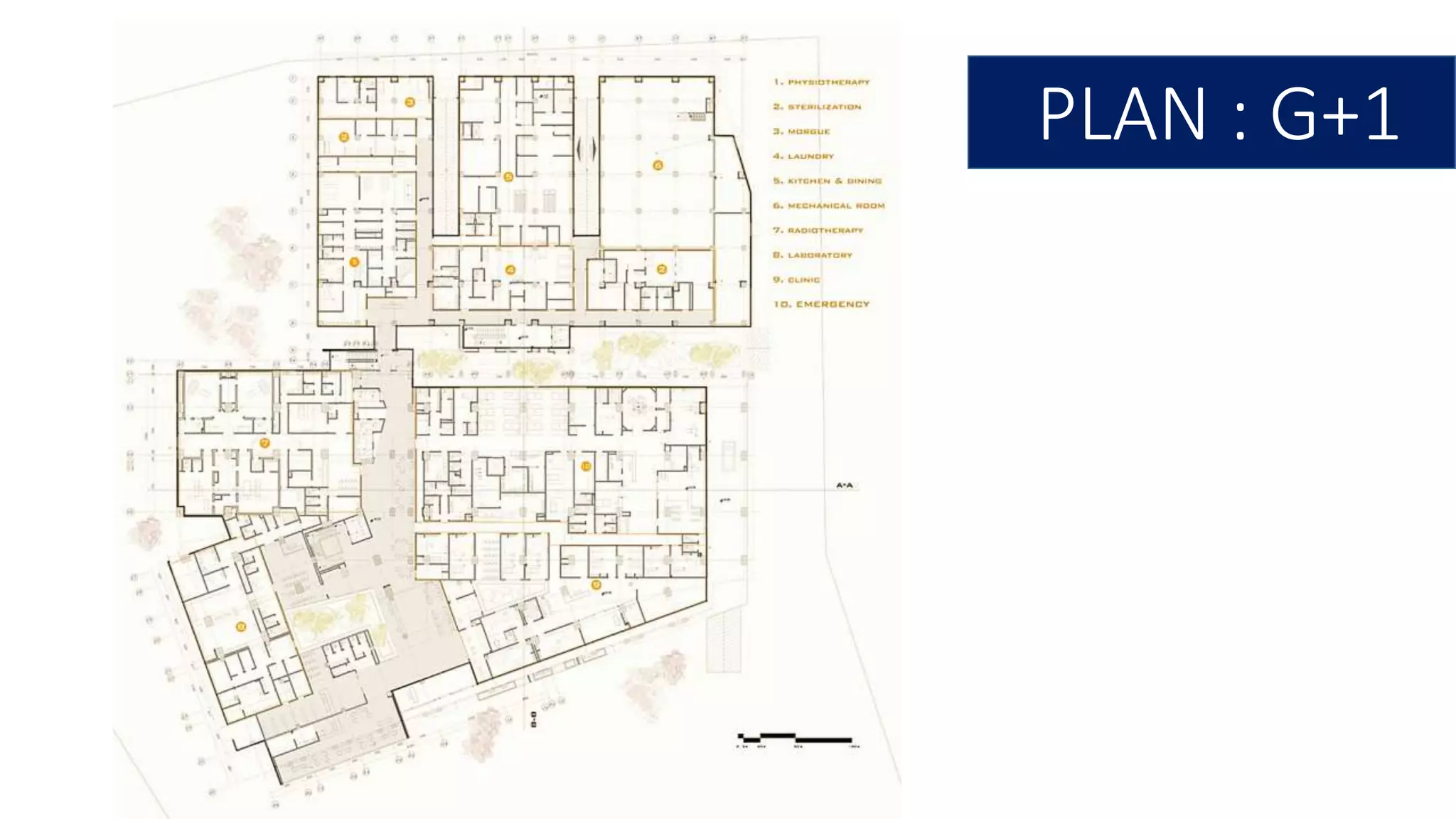 Hospital Design Case Study | PPTX