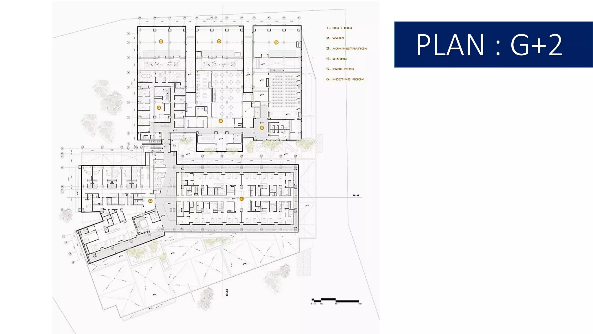 Hospital Design Case Study | PPTX